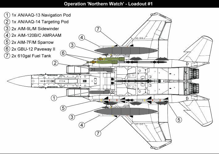 미공군의 종심타격기 F-15E STRIKE EAGLE 설정자료 - Ⅱ 정보 & 자료실 - 미라지의 콤프방