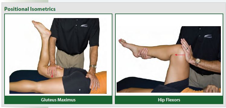 lumbar-pelvis-hip compex overhead squat, one leg squat 검사결과와 치료법 - 정리중 ...