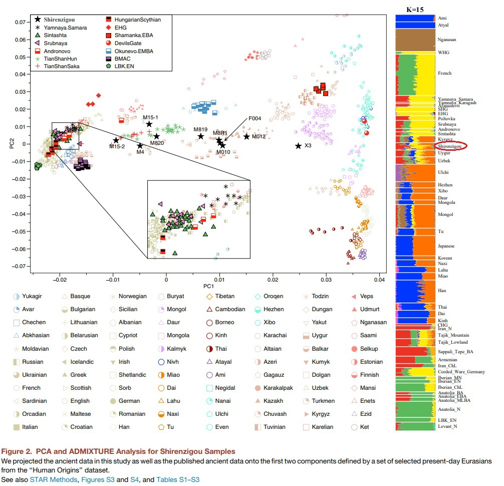 신장위구르지구 Shirenzigou유적 고인골논문(NIng et al. 2019) 소개 및 해설-1 - 동아 상염색체 - 분자인류학논단