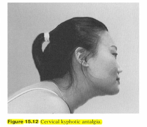 15. 맥켄지 척추재활 방법(McKenzie spinal rehabilitation methods) - 이 챕터는 따로 논문을 ...